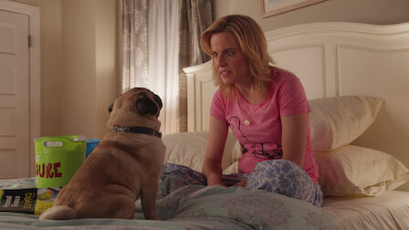 Lady Dynamite | Site Oficial Netflix