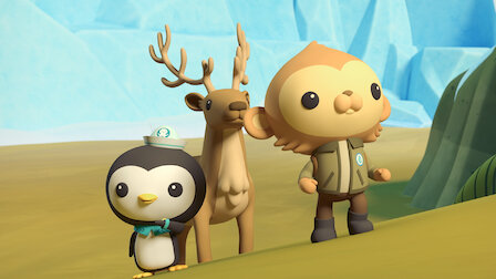 Watch Octonauts: Above & Beyond | Netflix Official Site