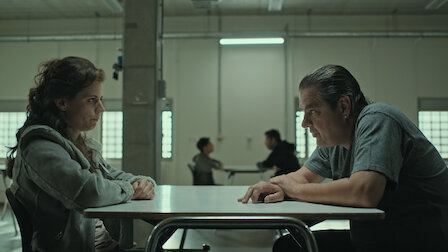 Watch Undercover | Netflix Official Site