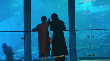 Watch Nevertheless : The Shapes of Love | Netflix