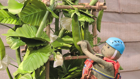 Watch The Tiny Chef Show | Netflix