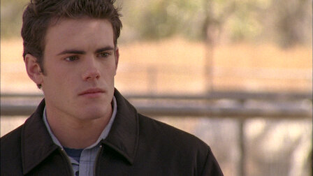 Watch Wildfire | Netflix