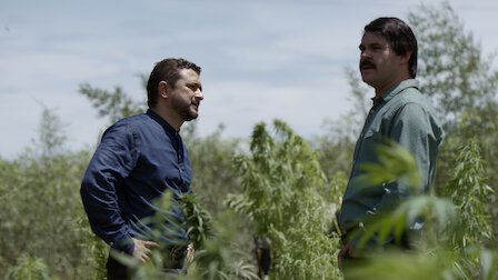 Watch El Chapo | Netflix