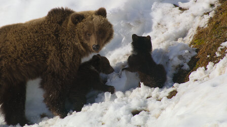 Watch Our Universe | Netflix Official Site