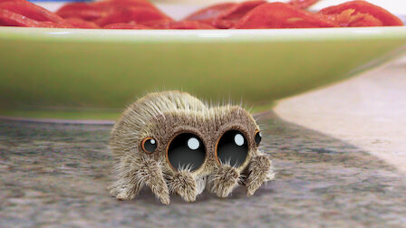Watch Lucas the Spider | Netflix