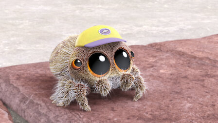 La araña Lucas | Netflix