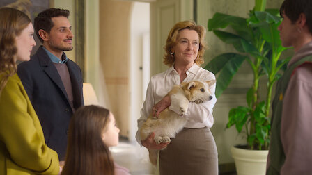 Watch Deceitful Love | Netflix Official Site