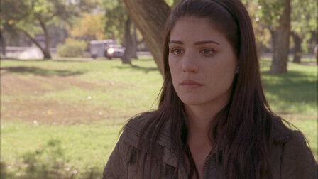 Watch Wildfire | Netflix