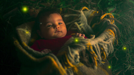 Watch Luz: The Light of the Heart | Netflix Official Site