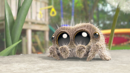 Watch Lucas the Spider | Netflix