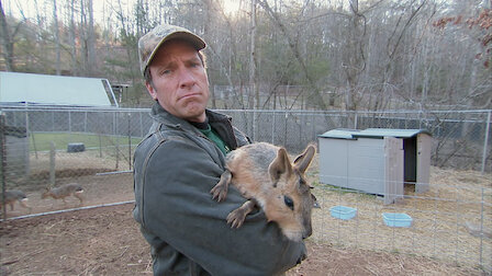 Watch Dirty Jobs | Netflix