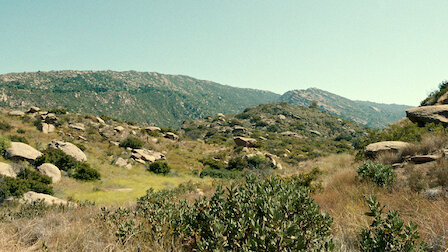 Watch Treta | Netflix Official Site