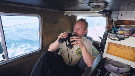 Watch Battlefish | Netflix Official Site