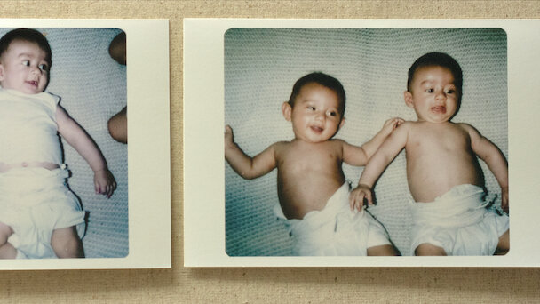 Watch The Accidental Twins | Netflix Official Site