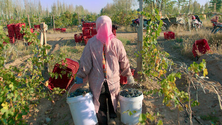 Watch Rotten | Netflix Official Site