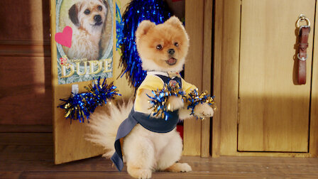 Watch Pup Academy | Netflix Official Site