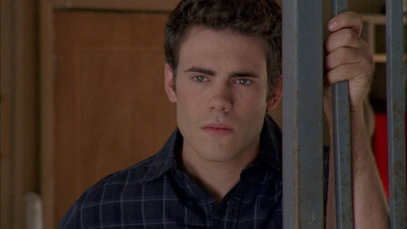 Watch Wildfire | Netflix