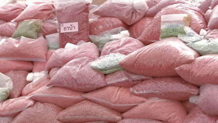 Watch The Business of Drugs | Netflix Official Site