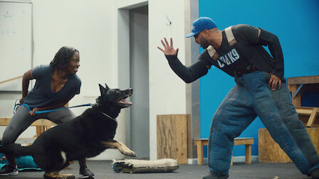 Watch Canine Intervention | Netflix Official Site
