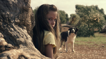 Watch The Binding | Netflix Official Site