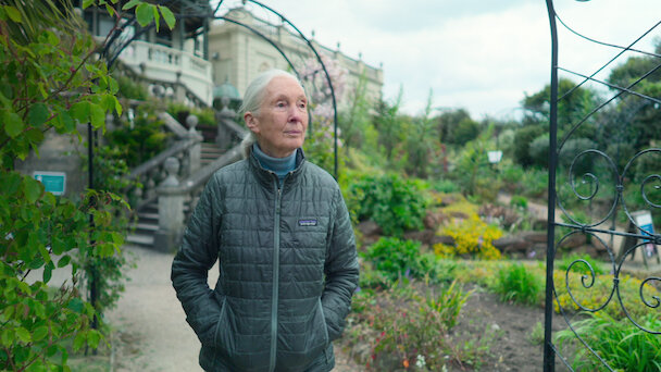 Watch Stories of a Generation - with Pope Francis | Netflix Official Site