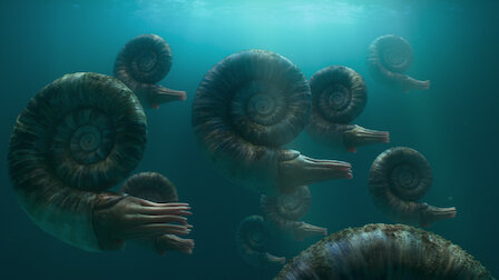 Watch Life on Our Planet | Netflix Official Site