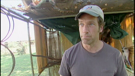 Watch Dirty Jobs | Netflix