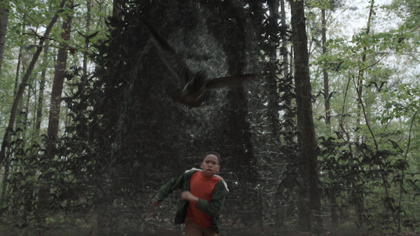 Watch Criando Dion | Netflix Official Site