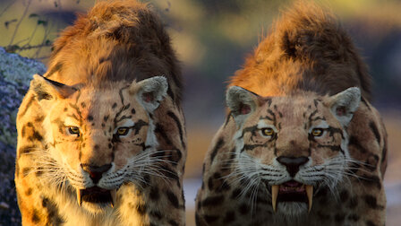 Watch Life on Our Planet | Netflix Official Site