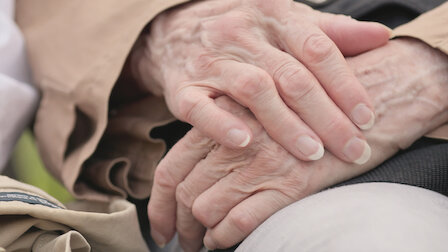 Watch Explained | Netflix Official Site