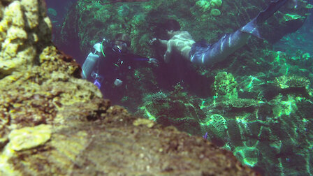 Watch Mako Mermaids: An H2O Adventure | Netflix Official Site