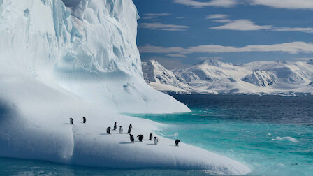 Watch Our Planet | Netflix Official Site