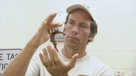 Watch Dirty Jobs | Netflix