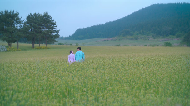 Watch When Life Gives You Tangerines | Netflix Official Site