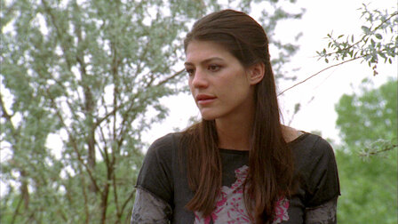 Watch Wildfire | Netflix