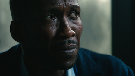 Leave the World Behind | Netflix – offizielle Webseite