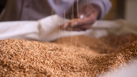 Watch High on the Hog: How African American Cuisine Transformed America ...