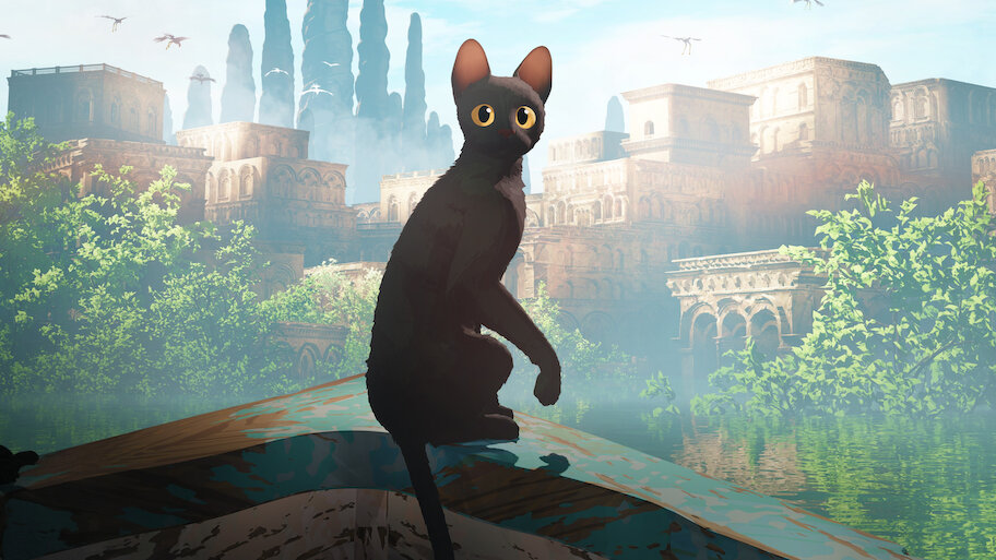 Watch Flow | Netflix