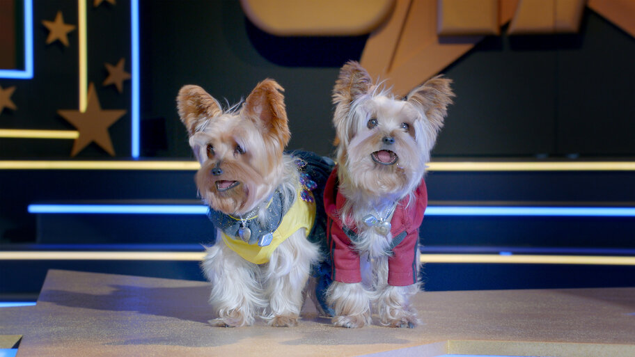 Pup Star: Juntos es mejor | Netflix