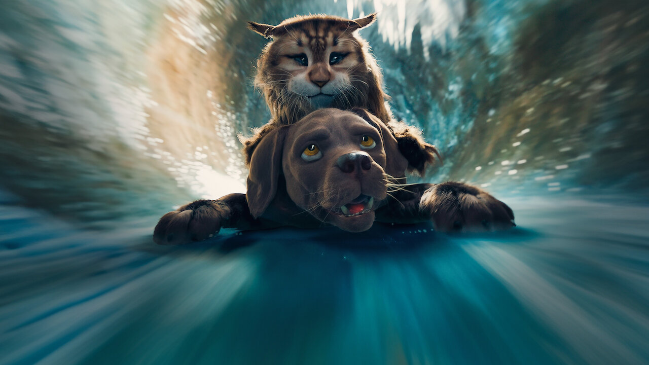 Watch Cat & Dog | Netflix