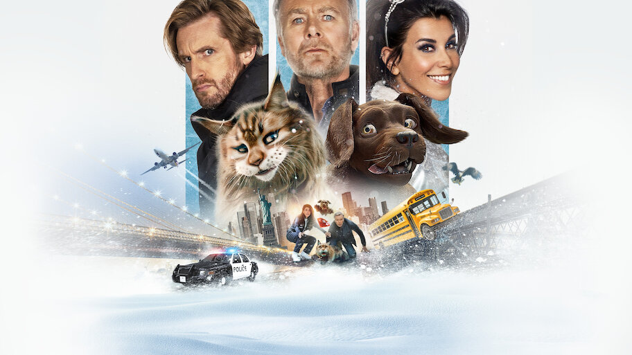 Cão e Gato | Netflix