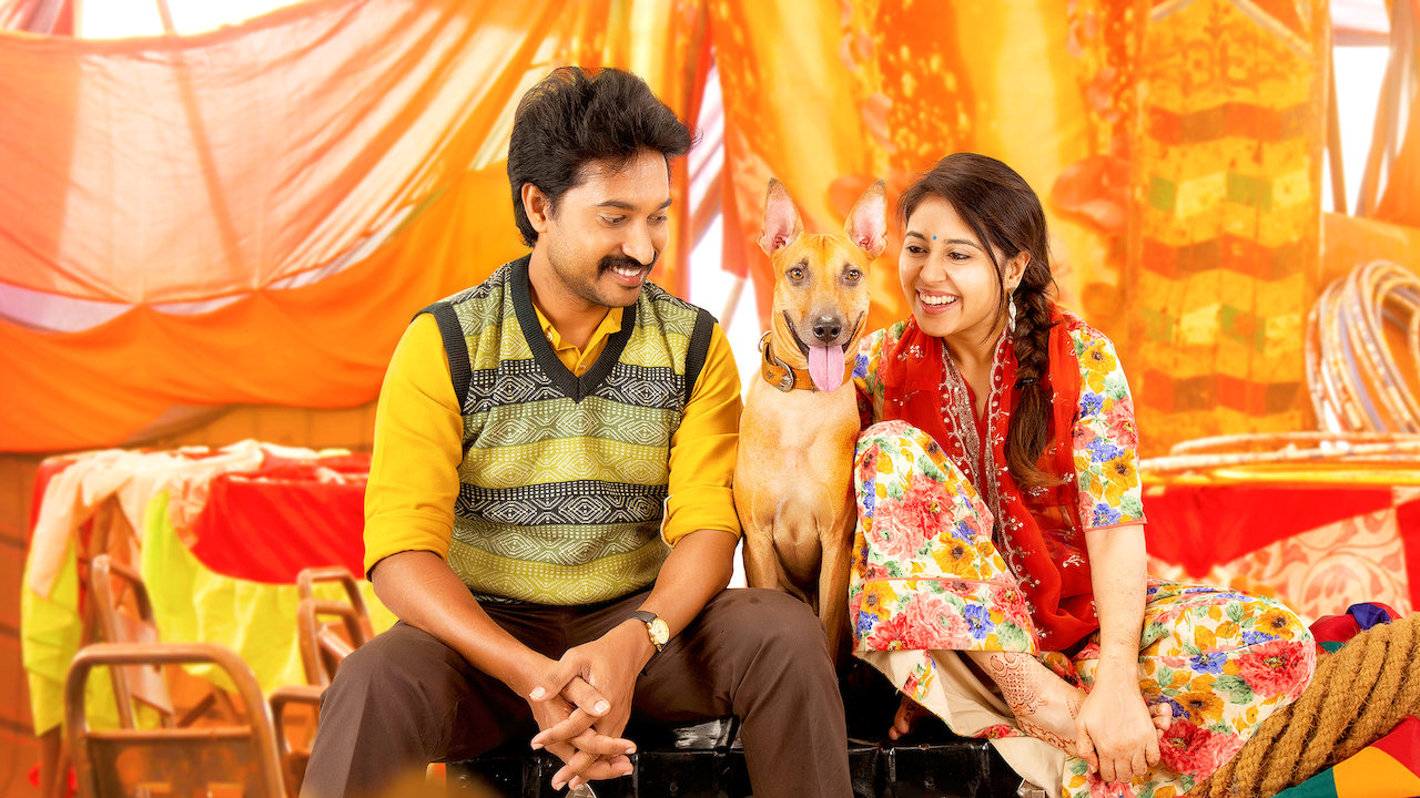 Watch Mehandi Circus | Netflix