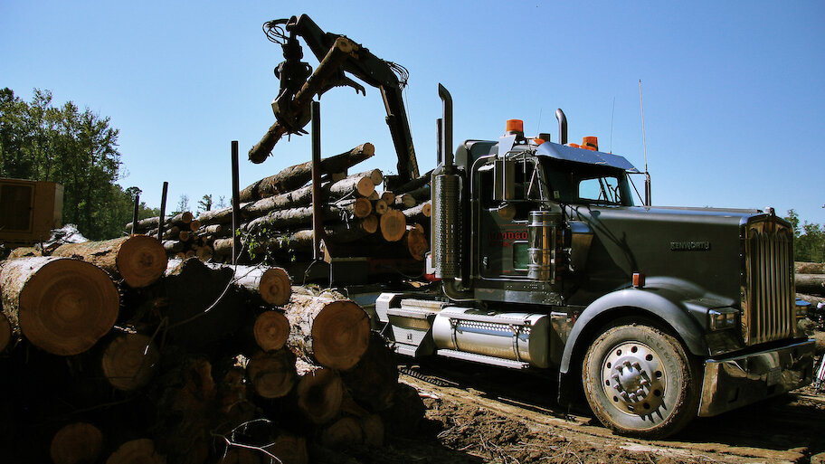 Watch Swamp Loggers | Netflix