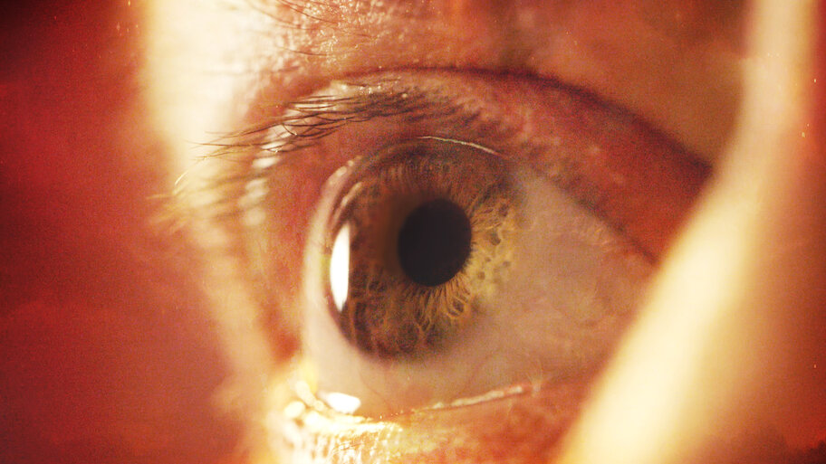 Watch What Our Fathers Did: A Nazi Legacy | Netflix