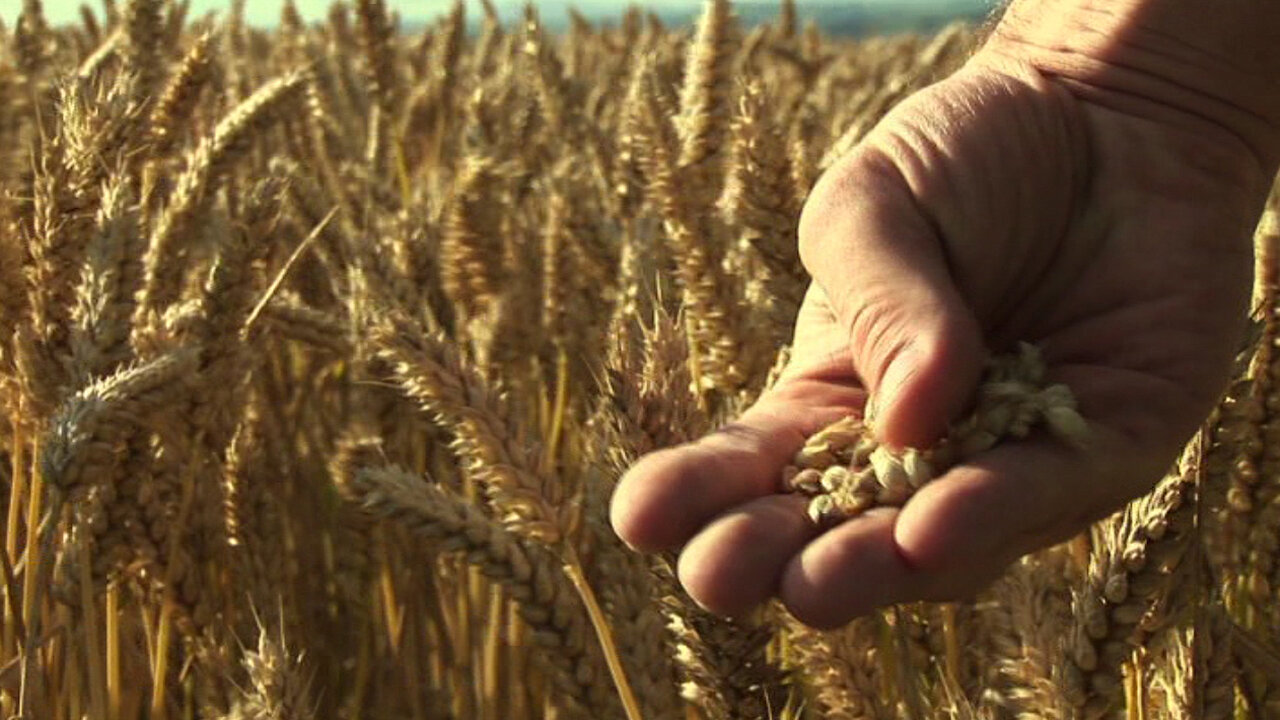 Watch Food Matters | Netflix