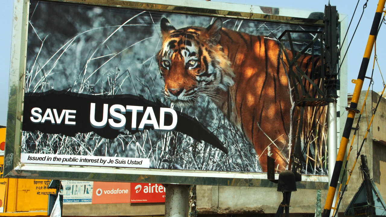 Watch Tiger 24 | Netflix