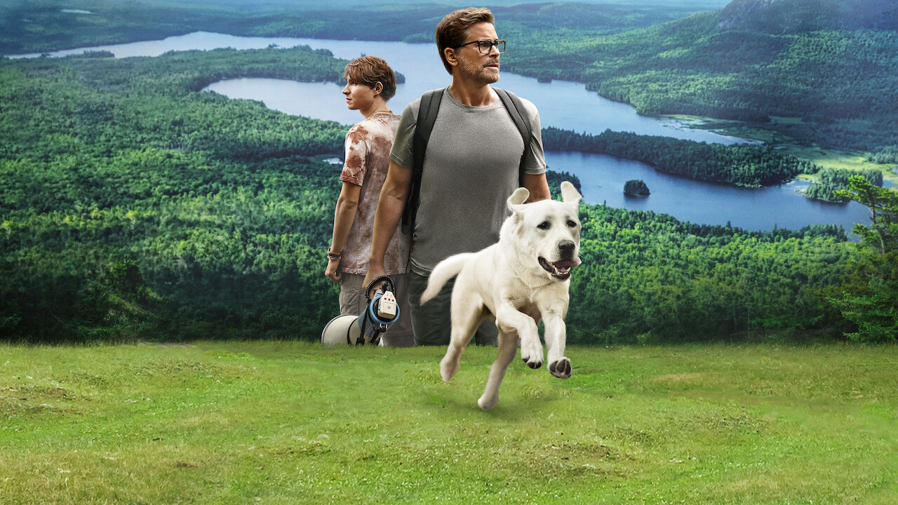 Perro Perdido Sitio Oficial De Netflix 