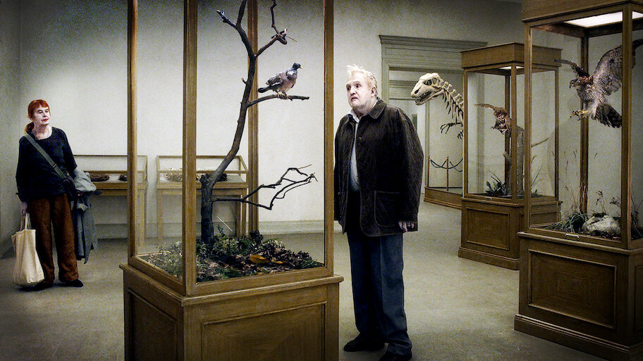 Watch A Pigeon Sat on a Branch Reflecting on Existence | Netflix