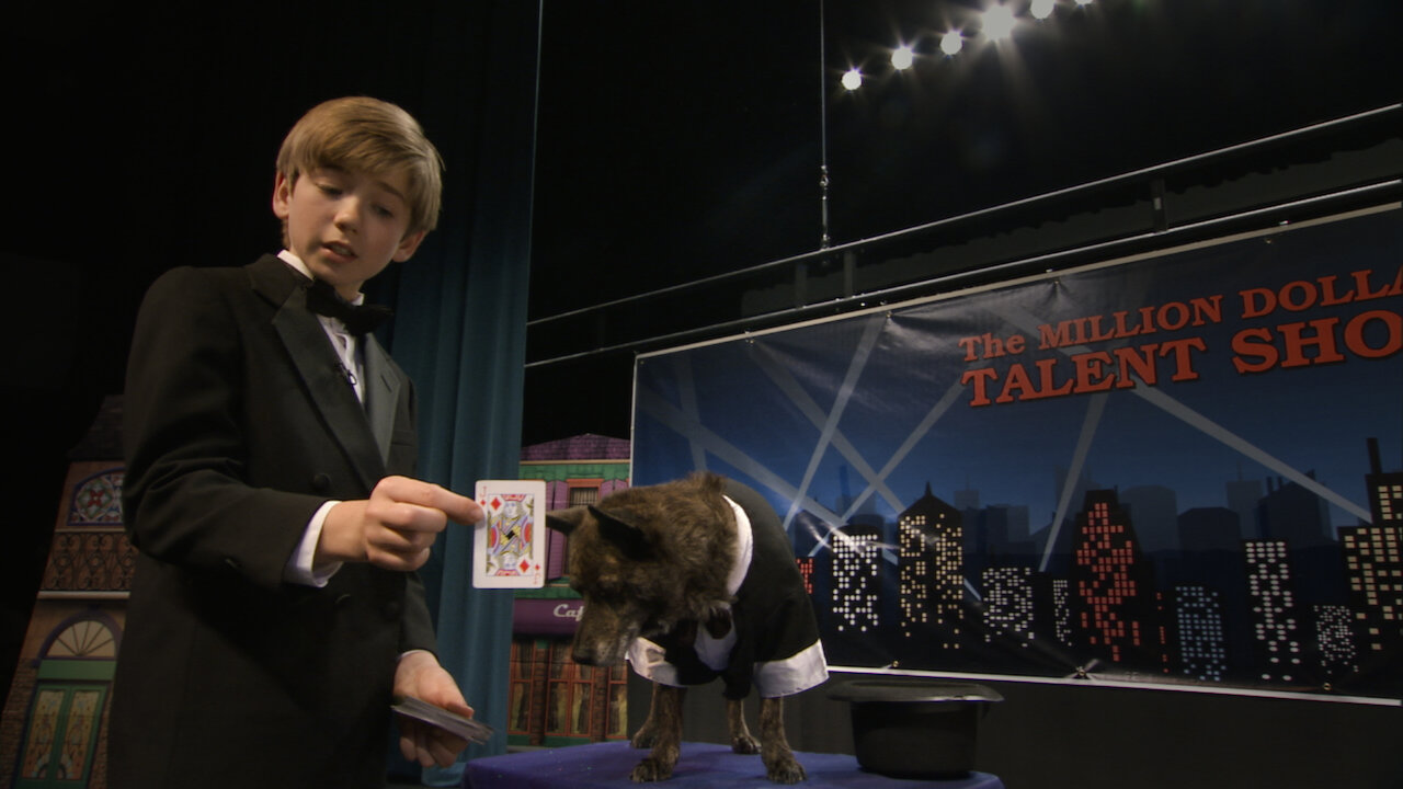Ve The Amazing Wizard of Paws | Netflix