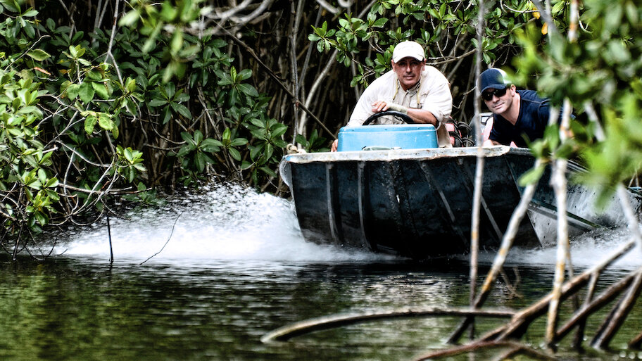 Watch Chasing Monsters | Netflix